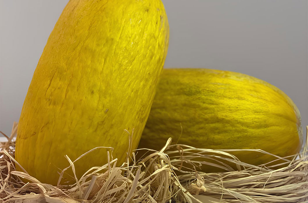 Seymen Kavunu Nedir? Nereden Satın Alınır? Özellikleri Nedir? | Çorlu ...